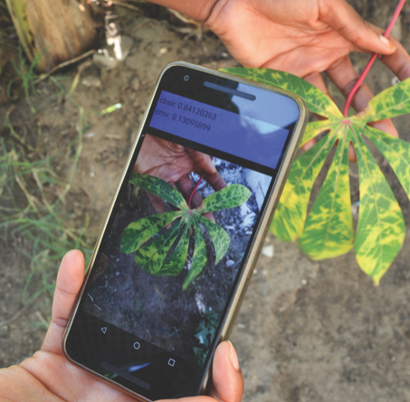 Joseph Data Scientist